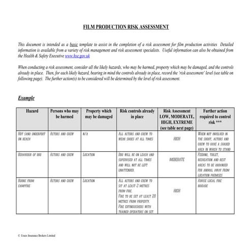 Film production risk assessment form | DOC