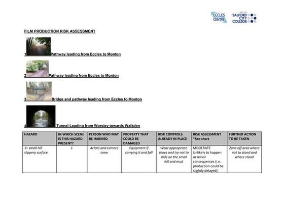 Sophie risk assessment | PDF