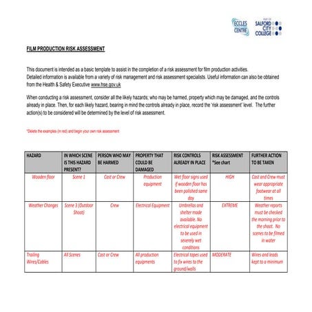 Film production risk assessment form | DOC