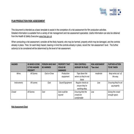 Film production risk assessment form | DOC