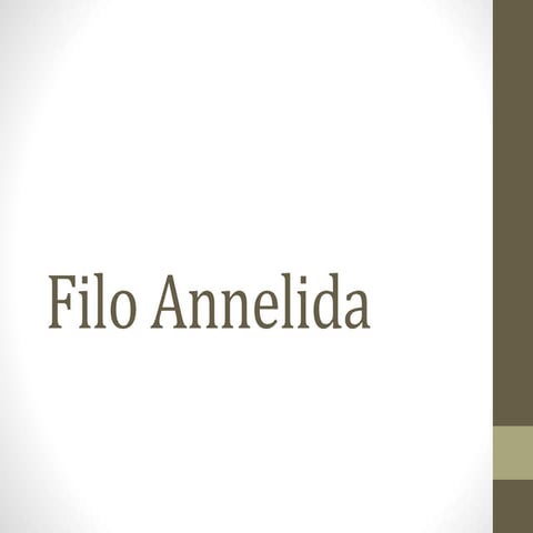 Filo annelida | PPTX