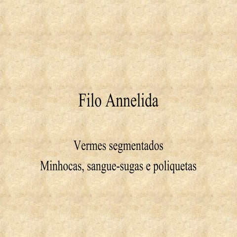 Filo annelida 1 | PPT