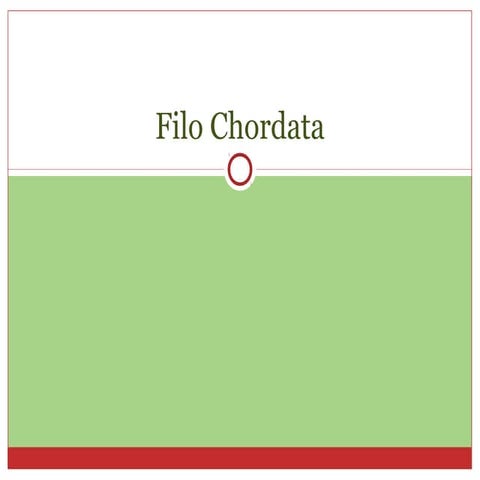 Filo chordata | PPT