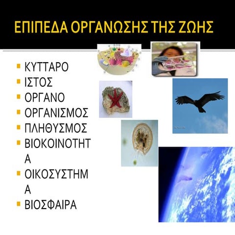 Ο ρόλος των μικροοργανισμών | PPT