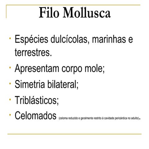 Filo Mollusca | PPT