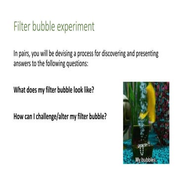 Filter bubble experiment | PDF