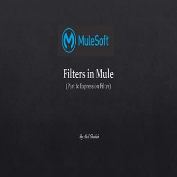 Filters in Mule Part-6 Expression Filter | PPT