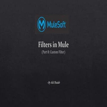 Filters in Mule Part-8 Custom Filter | PPT