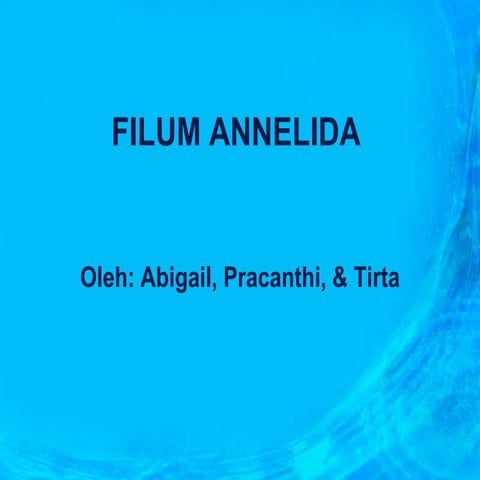 Phylum Annelida | PPTX