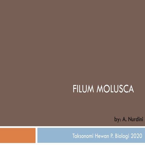 Filum Mollusca pembelajaran materi biologi.ppt