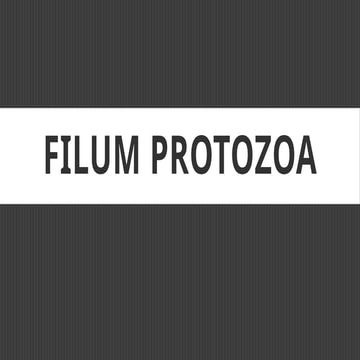 FILUM PROTOZOA.pptx FILUM PROTOZOA.pptx FILUM PROTOZOA.pptx