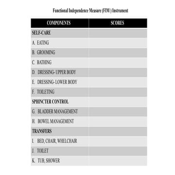 Functional Independence Measure-Presentation.pptx