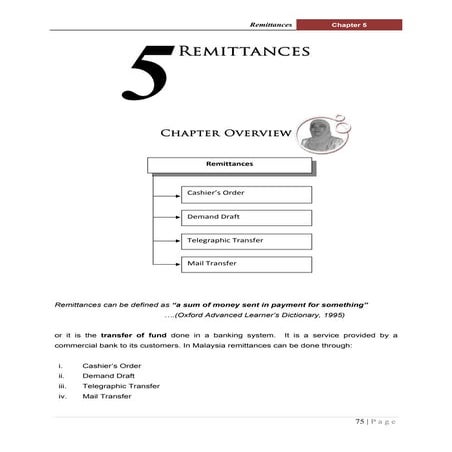 Nagad Statement .pdf