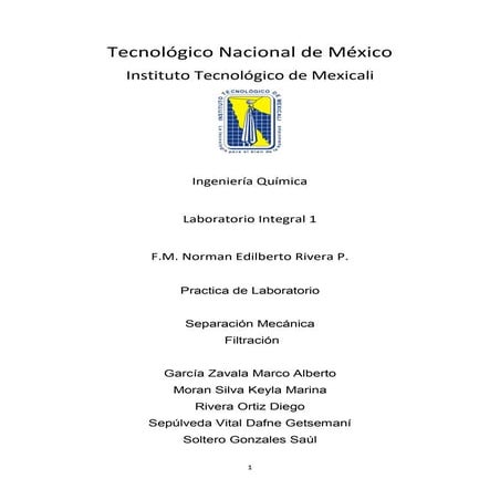 Practica 9 Filtro Casero de Carbono | PDF