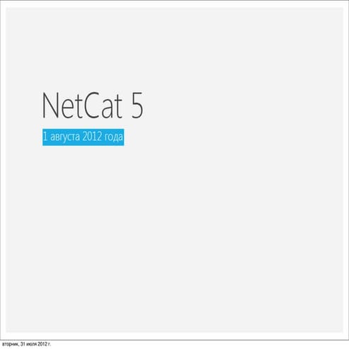 Презентация NetCat 5 | PDF