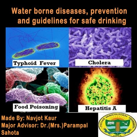 Water borne diseases, prevention and guidelines for safe drinking water ...