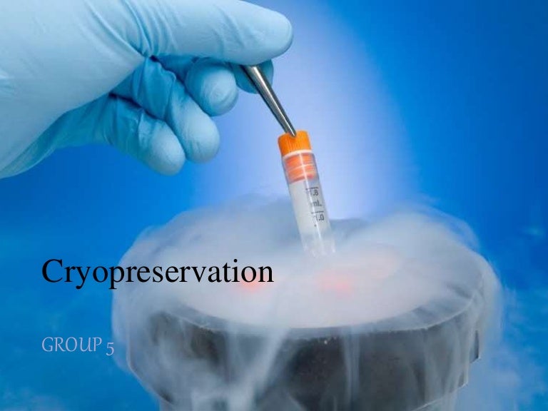 Cryopreservation