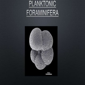 Planktonic Foraminifera | PPT