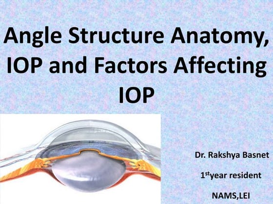 ANGLE ANATOMY | PPTX | Eye and Vision Conditions | Diseases and Conditions