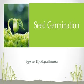 SEED GERMINATION | PPTX