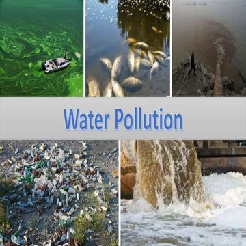 water pollution | PPTX