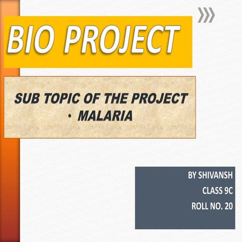 Biology investigatory project class 12 [malaria] | DOCX