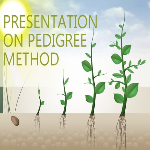 pedigree method | PPTX