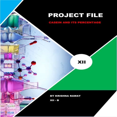 Project- CASEIN PRESENT IN DIFFERENT SAMPLES OF MILK | PDF