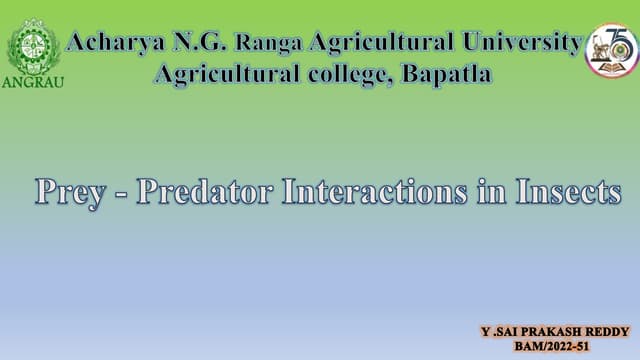 Predator- Prey Models- Lotka Voltera Model, Nicholson- Bailey Model ...