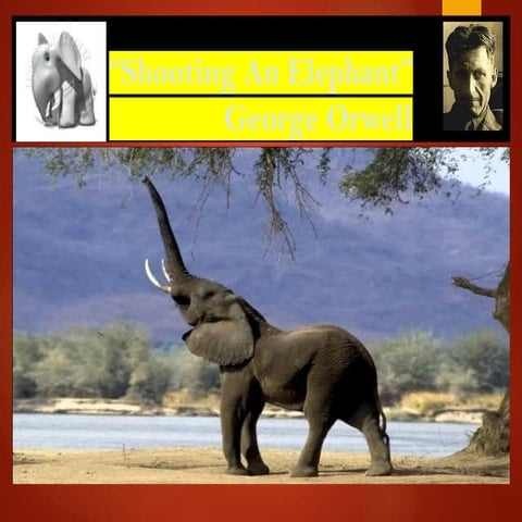 Shooting an elephant, a non fiction by Orwell, .pptx