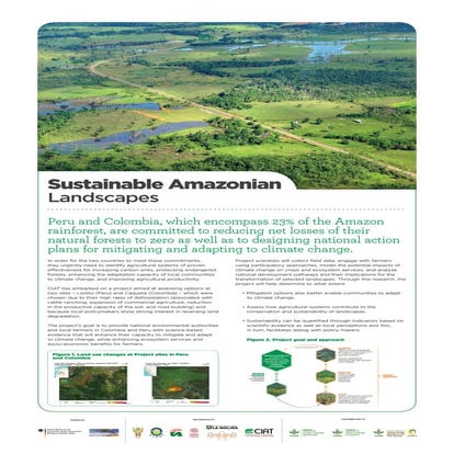 Sustainable Amazonian Landscapes - poster | PDF