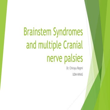 Final-Brainstem Syndromes and multiple Cranial nerve palsies.pptx