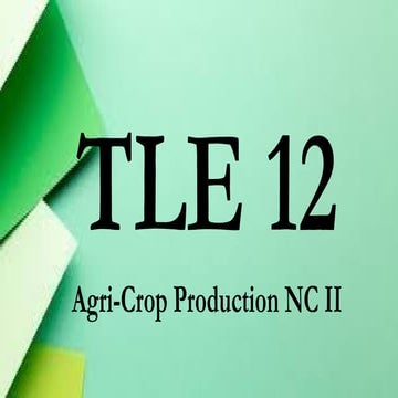 FINAL-DEMO-PPT Types of Weeds rejbqelogaenrbvaeljghbnefblvjenrb | PPT