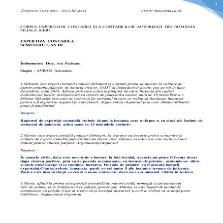 Final expertiza contabila - anul iii | PDF