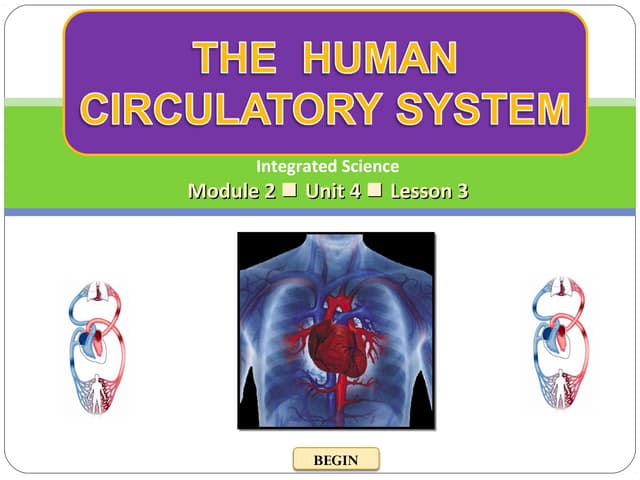 Parts of the circulatory system (day 1) | PPTX
