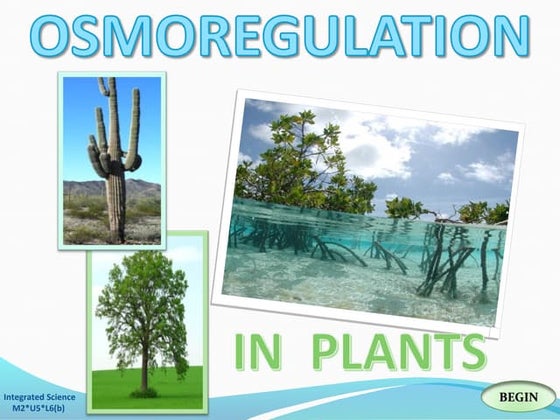 10. Osmoregulation | PPT