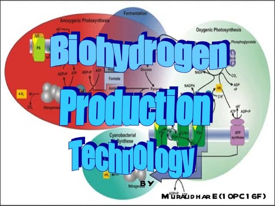 Biohydrogen production | PPT