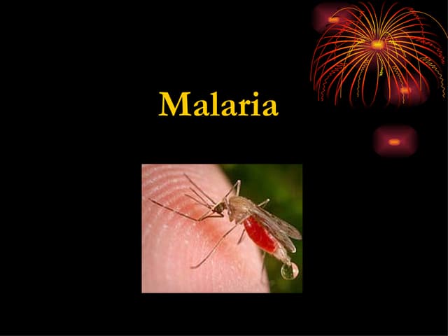 Project Paper on Malaria | DOCX
