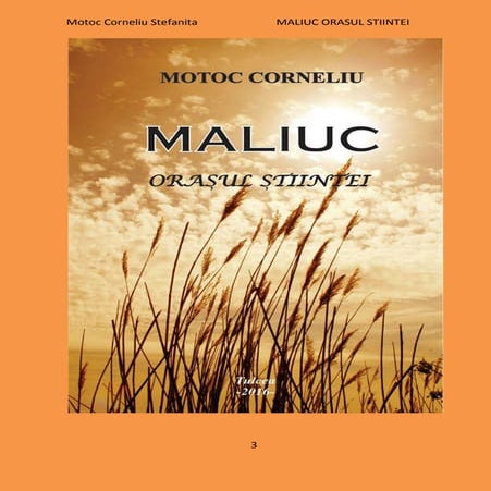 MALIUC ORASUL STIINTEI | PDF