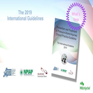 Final 2020 NPIAP CPG Deck pressure sore grade | PPTX