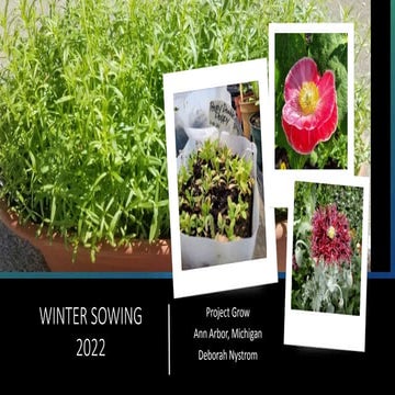 From Frozen to Fabulous: How to Winter Sow | PPTX