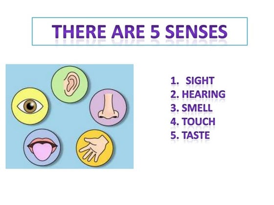 Human sense organs | PPTX | Eye and Vision Conditions | Diseases and ...