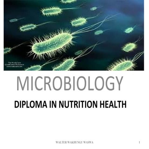 MICROBIOLOGY AND PARASITOLOGY IN NUTRITION | PPT