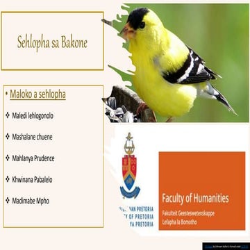 Final AFT presentation [1452].pptx