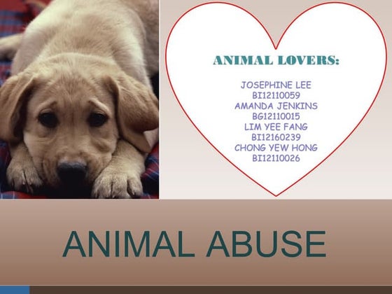 Animal Cruelty | PPT | Veterinary Medicine | Pets