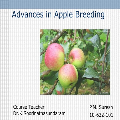 Apple breeding increase- final apple yield | PPT