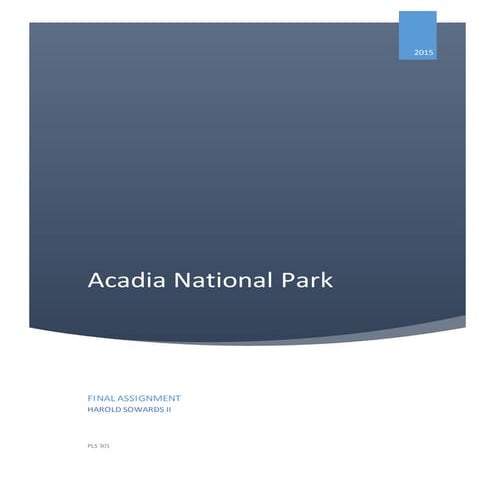 Final assignment | DOCX