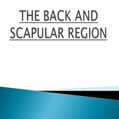 final back and scapular region.pptx