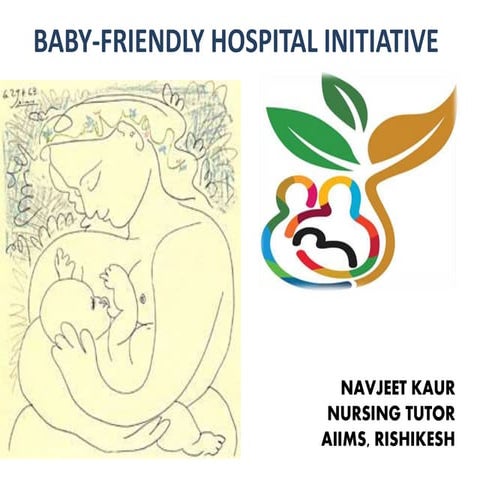 Baby Friendly Hospital Initiative (BFHI Ten Successful Steps) | PDF