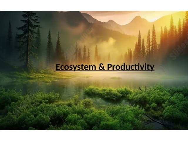 Final Bio Ppt Pptx For Class 12 Ecosystem Ppt